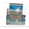 Ciplacef-1G Injectable